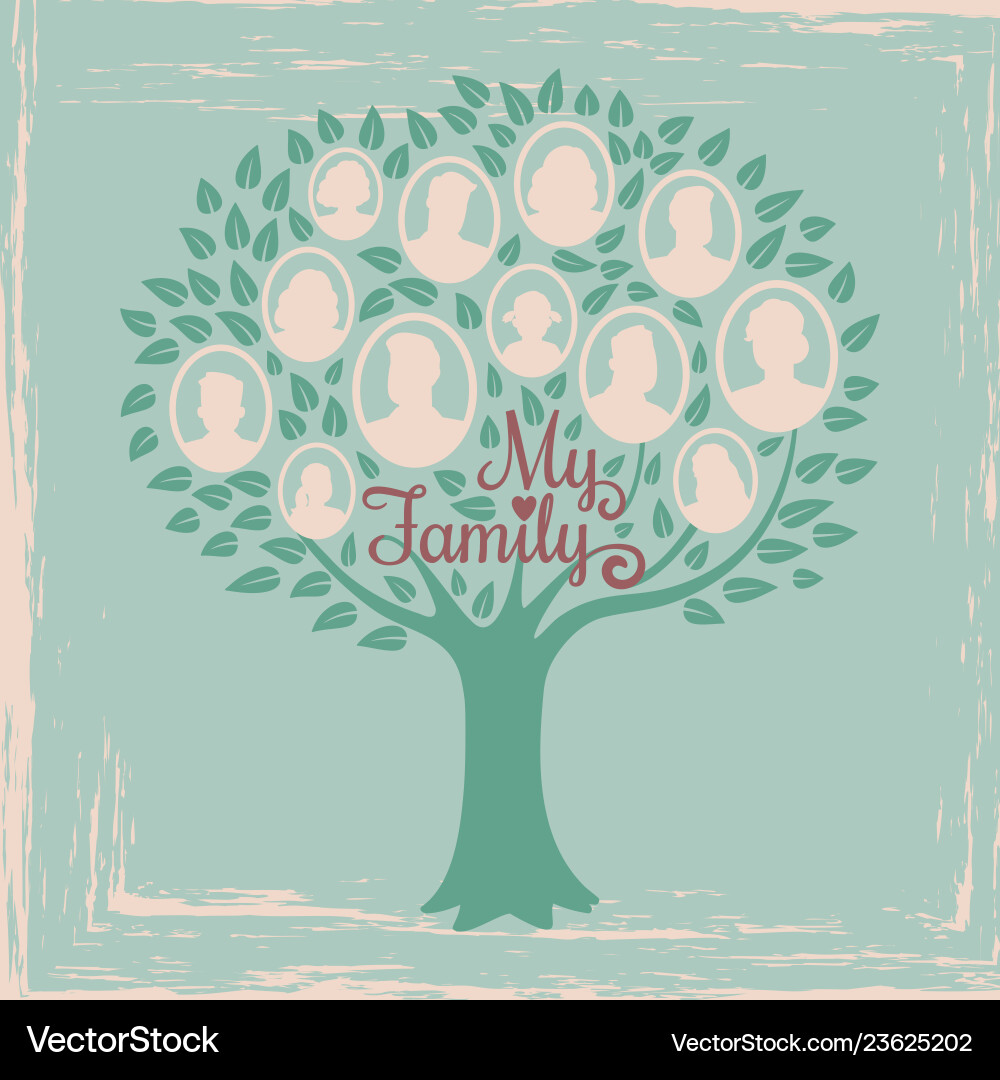 Vintage genealogy tree genealogical family Vector Image