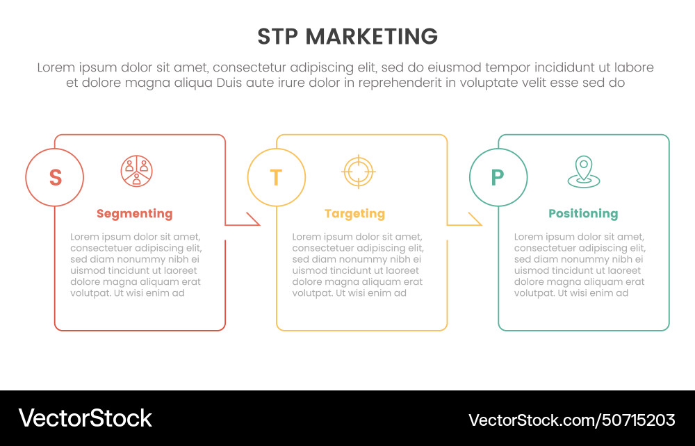 Stp marketing strategy model for segmentation Vector Image