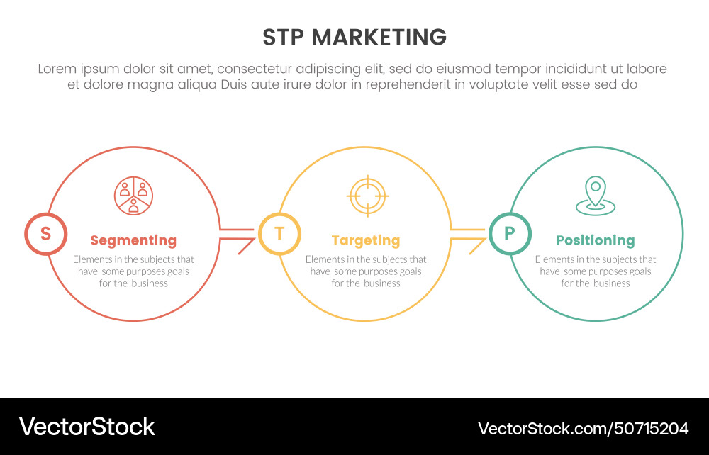 Stp marketing strategy model for segmentation Vector Image