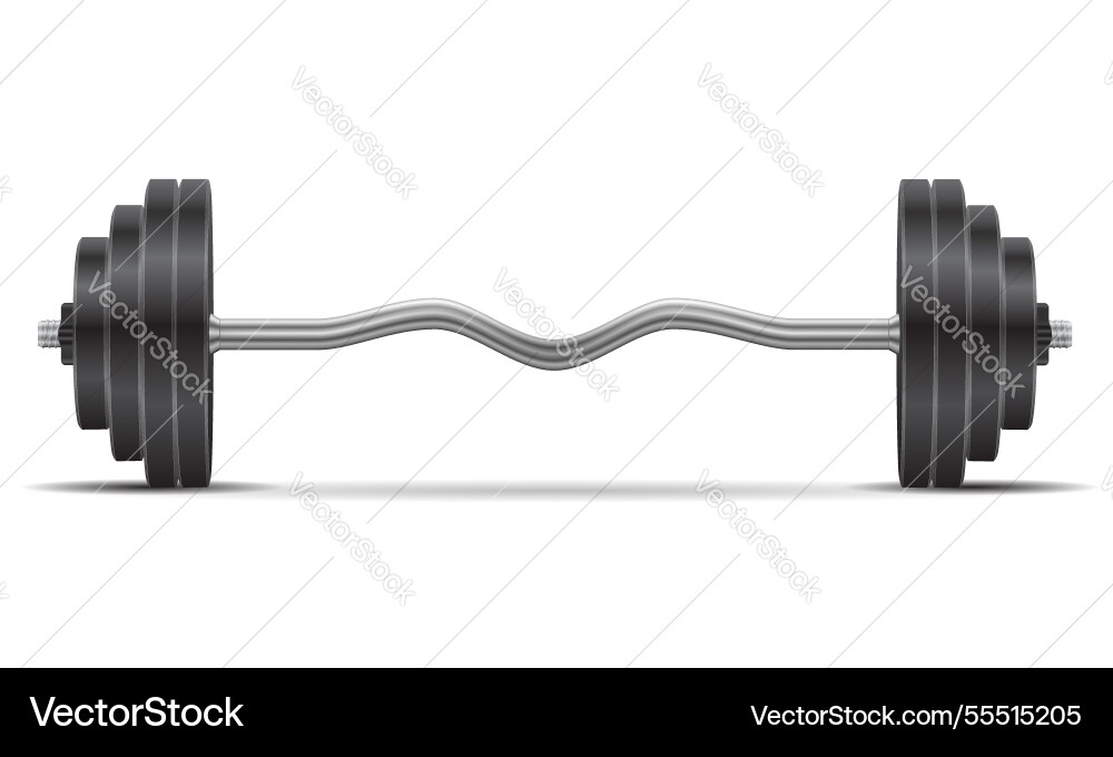 Barbell for sports or fitness muscle building Vector Image