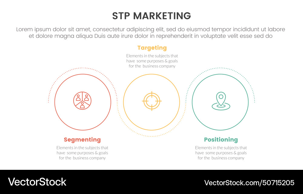 Stp marketing strategy model for segmentation Vector Image