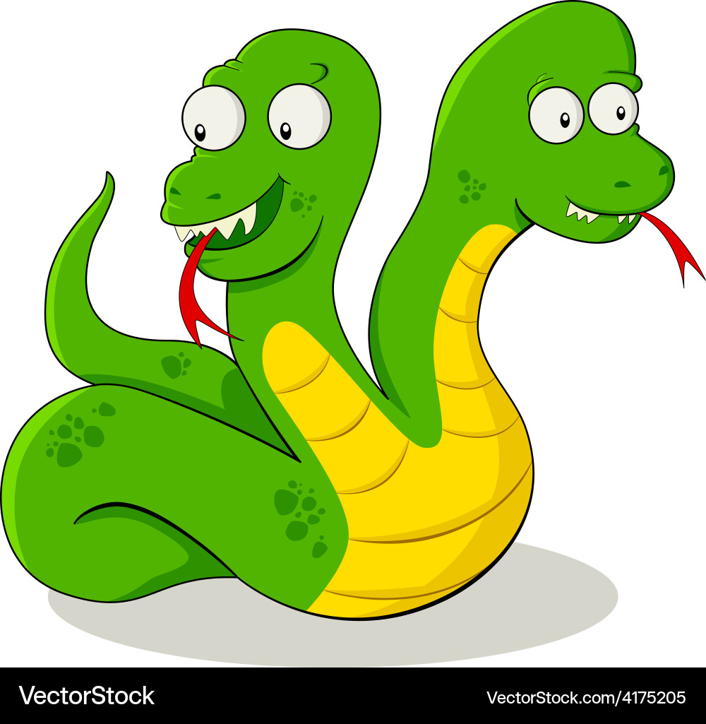 Two headed snake Royalty Free Vector Image - VectorStock