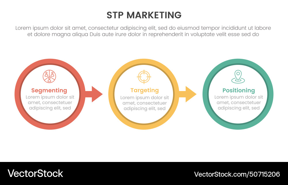 Stp marketing strategy model for segmentation Vector Image