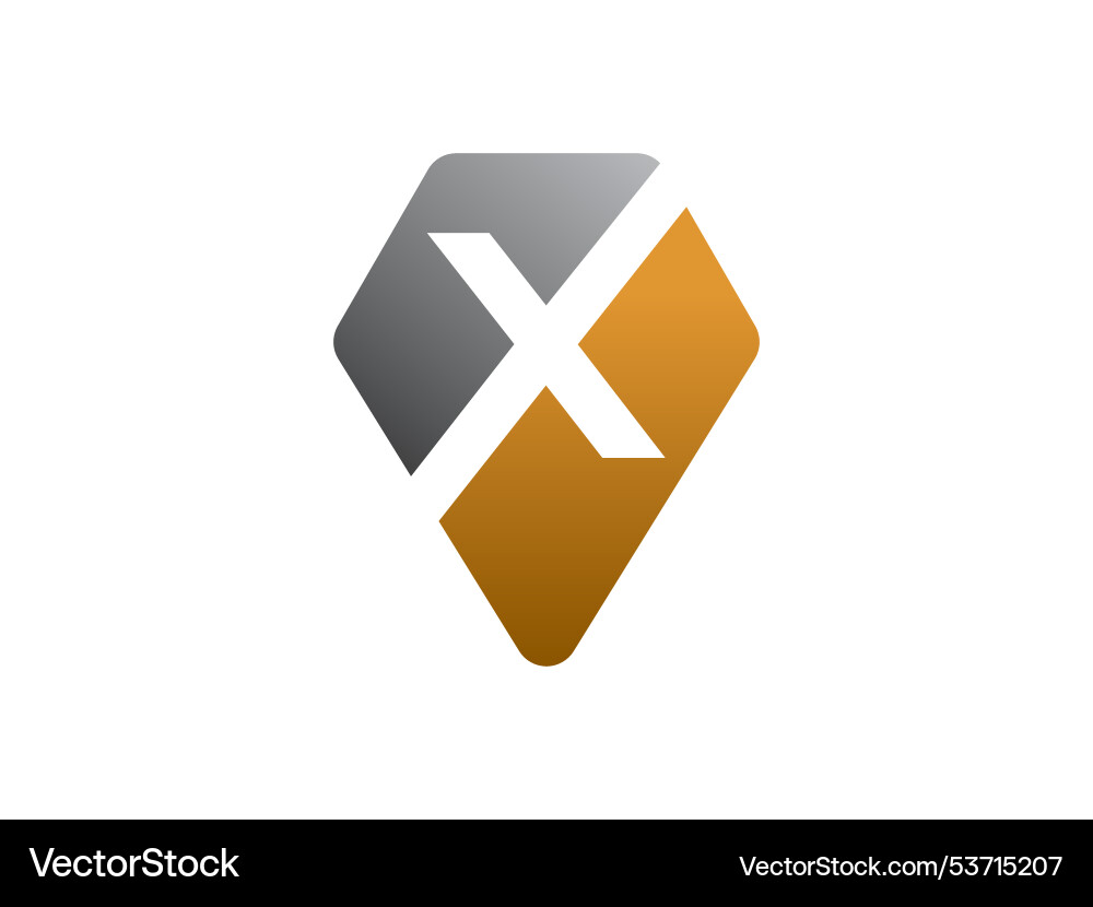Letter x point logo or symbol template design Vector Image