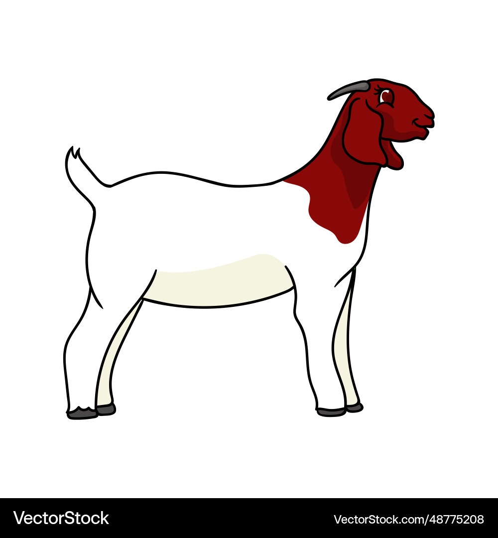Boer goat cartoon standing Royalty Free Vector Image