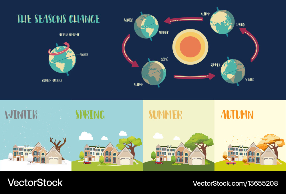 Earths seasons cycle Royalty Free Vector Image