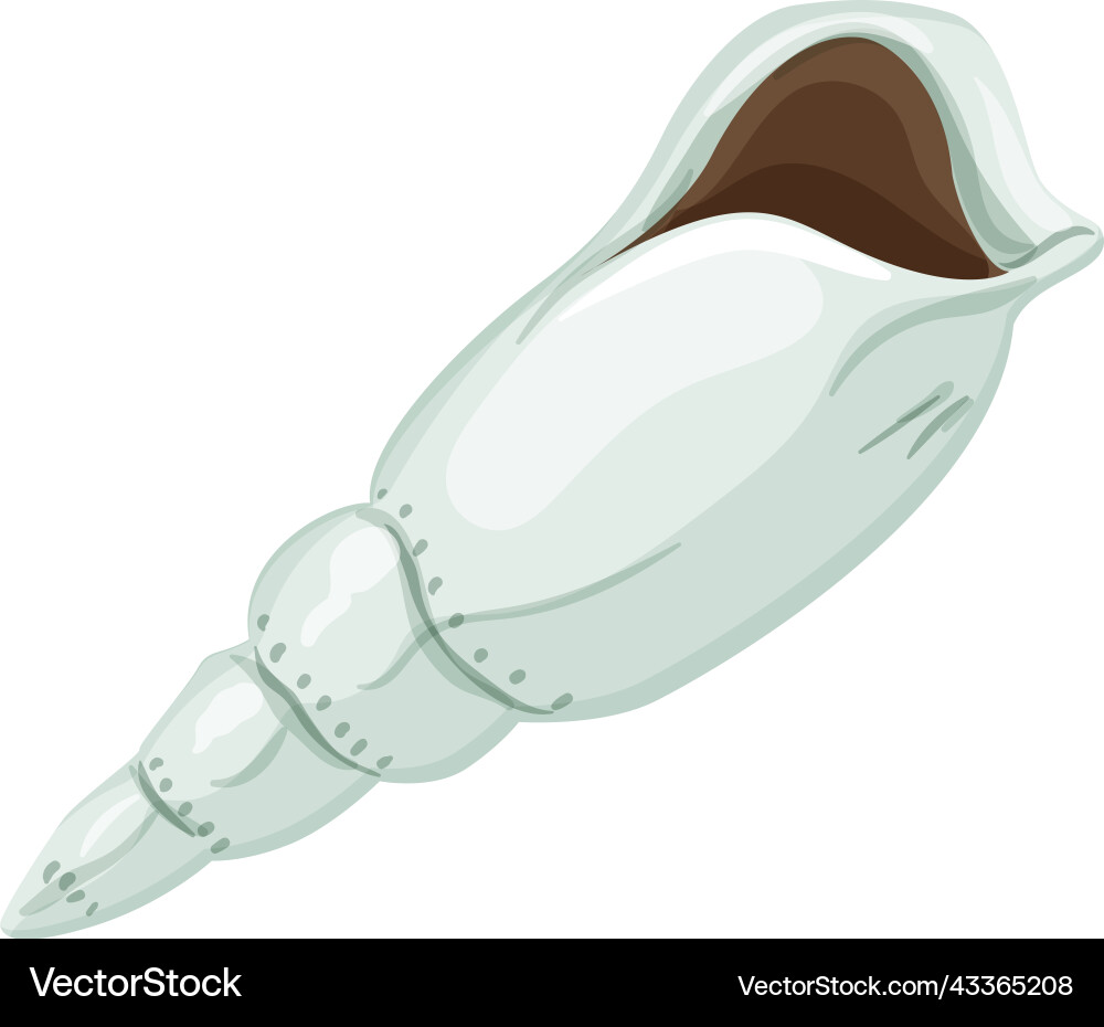 Ocean sea shell cartoon Royalty Free Vector Image