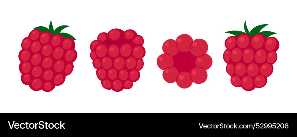 Raspberry set fresh summer juicy berry flat Vector Image