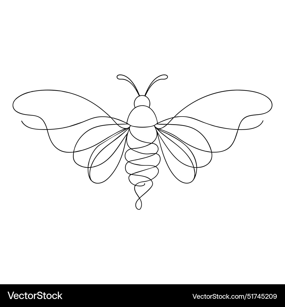 Bee continuous line art isolated on white Vector Image
