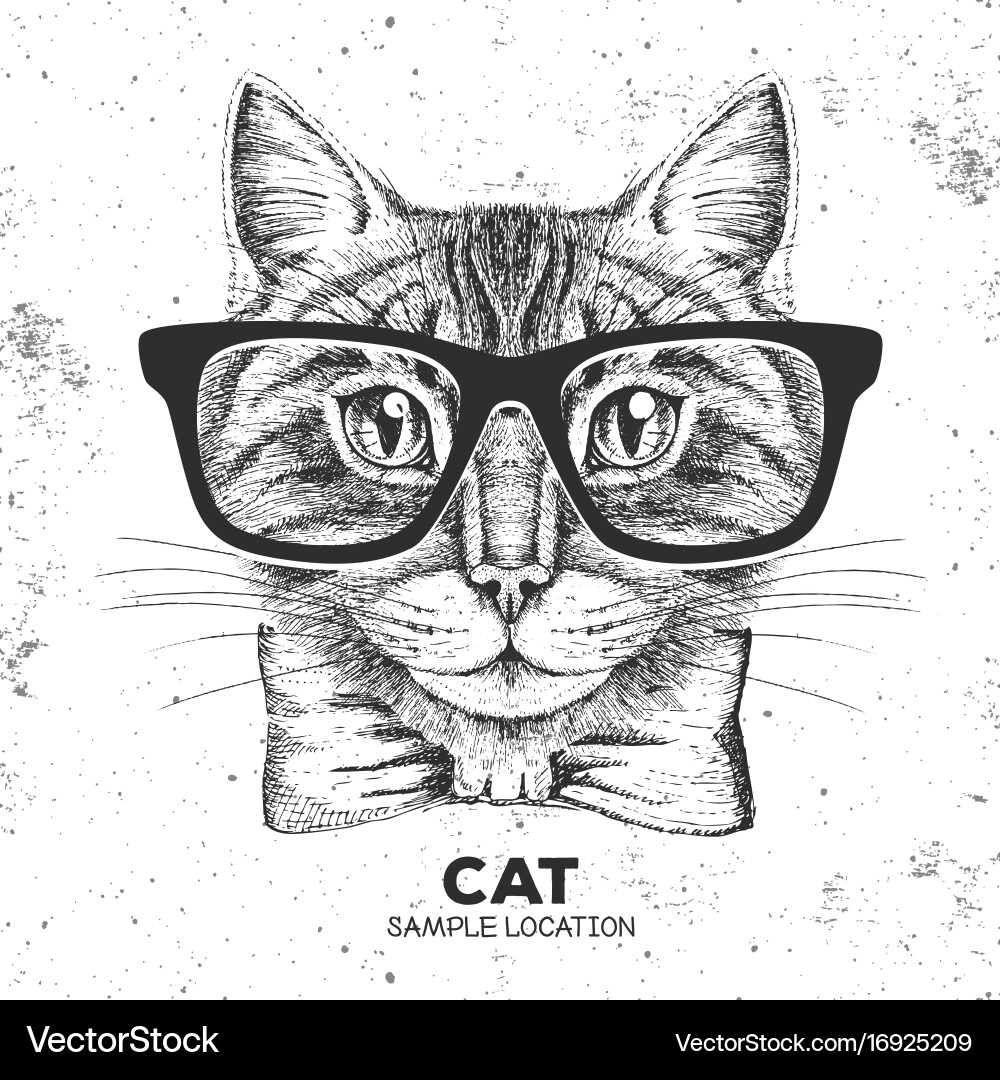 Cute Animal Cat Hand Drawing Royalty Free Vector Image