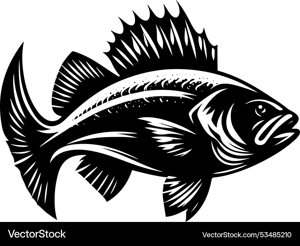 Cod fish silhouette Royalty Free Vector Image - VectorStock