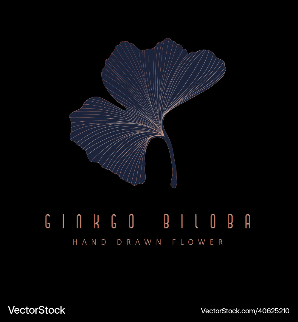 Golden ginkgo leaf logo design Royalty Free Vector Image