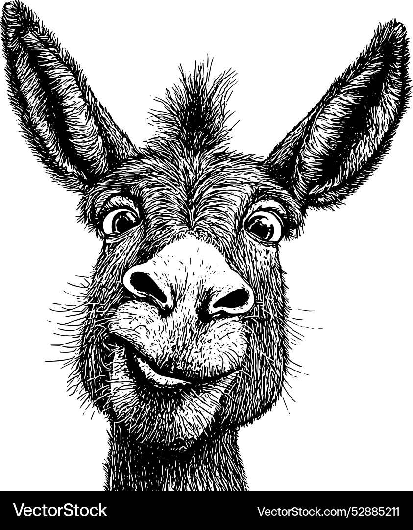 Cartoon Donkey Head Vector Images (über 1,200)