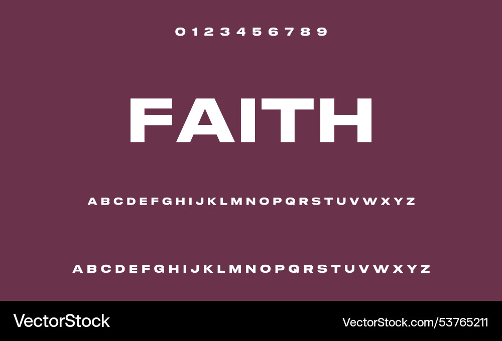 Modern bold font sans serif regular italic Vector Image