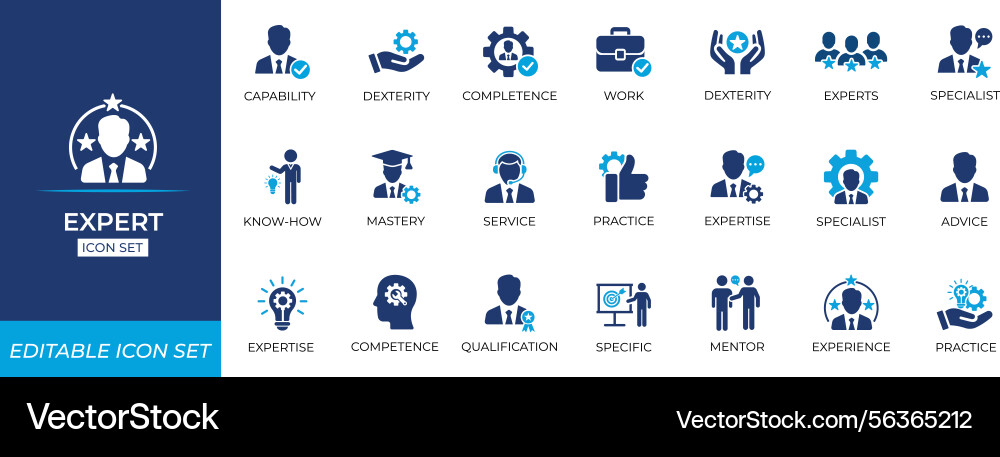 Expert icon set Royalty Free Vector Image - VectorStock