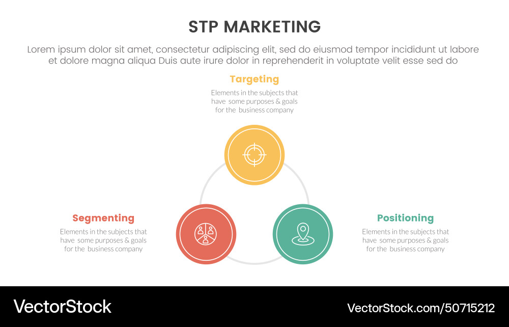 Stp marketing strategy model for segmentation Vector Image