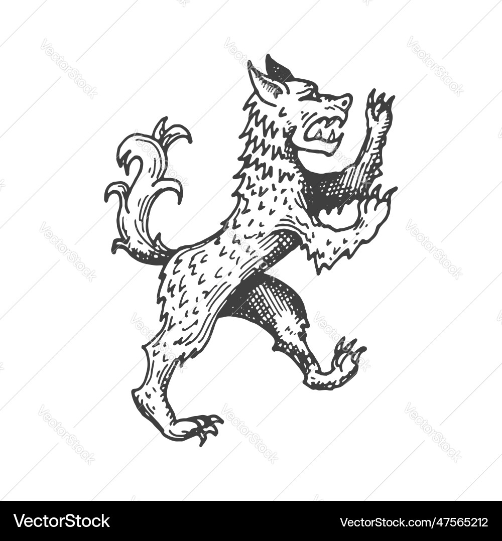Wolf medieval heraldic animal sketch symbol Vector Image