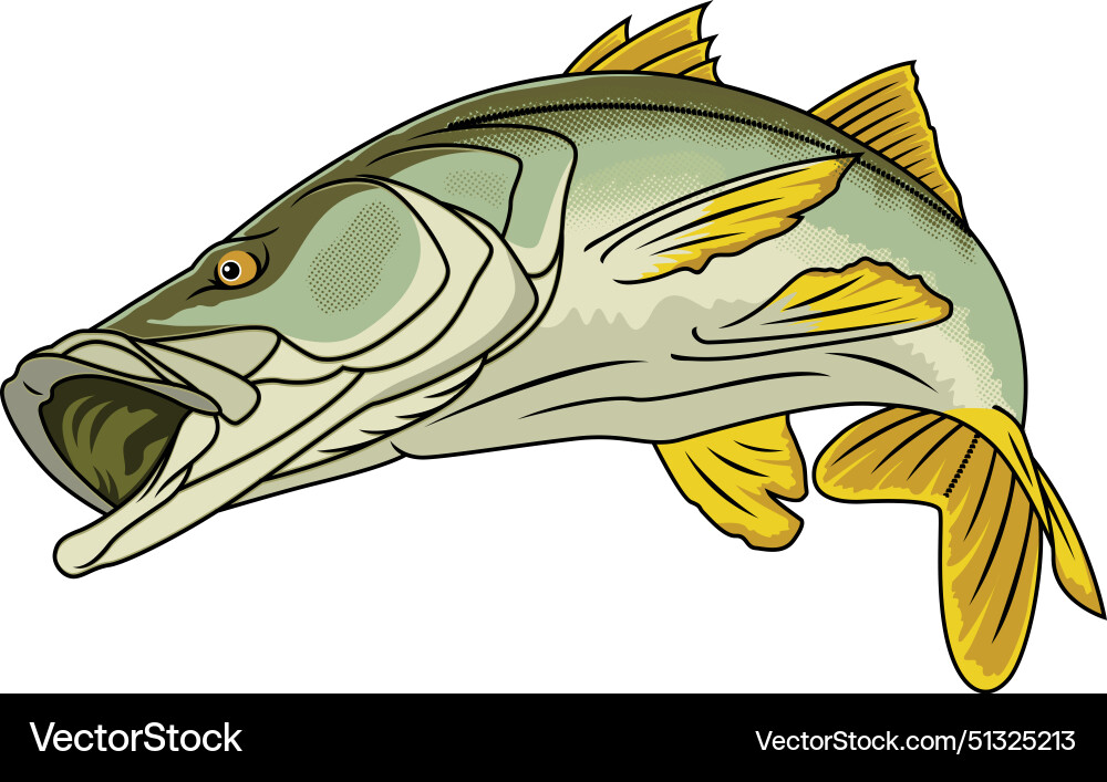 Snook fishing logo image t shi Royalty Free Vector Image