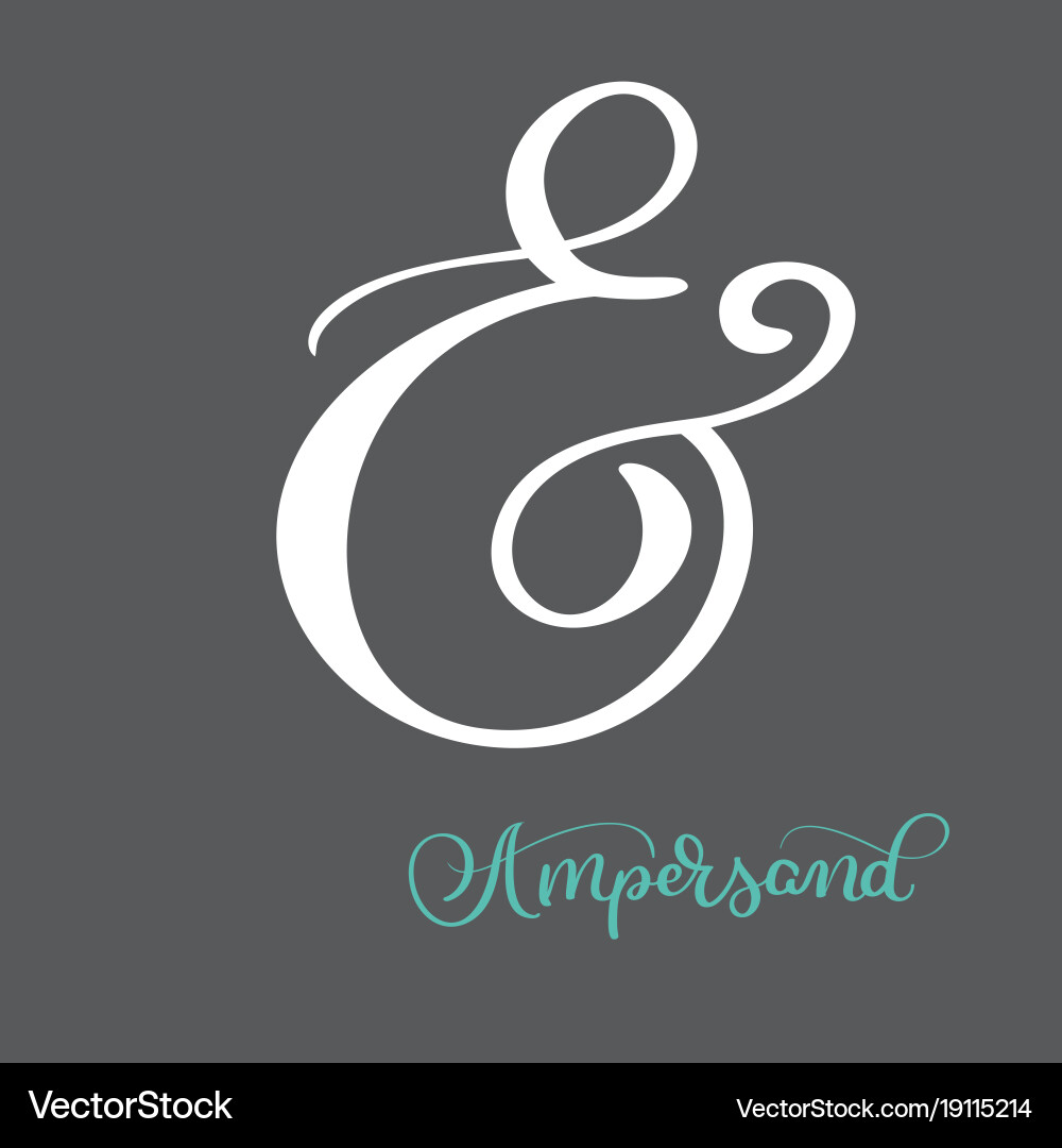 Elegant Flourish Ampersand Script Royalty Free Vector Image