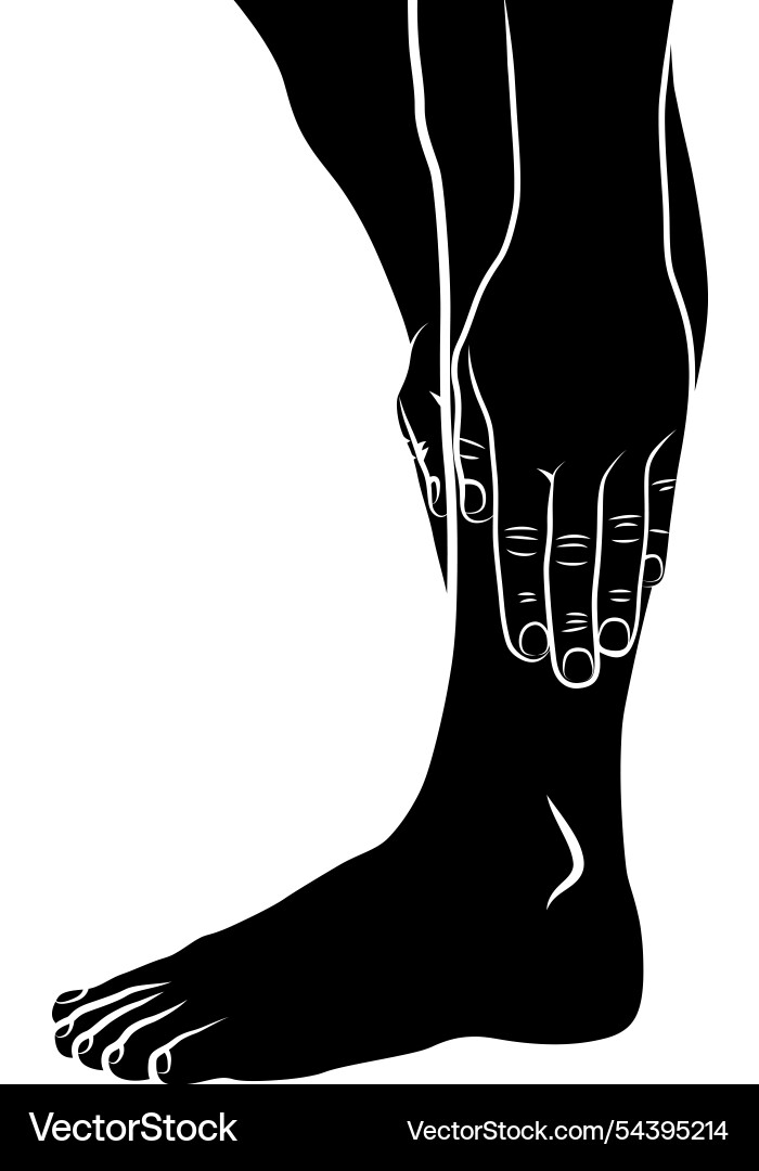 Leg Royalty Free Vector Image - VectorStock