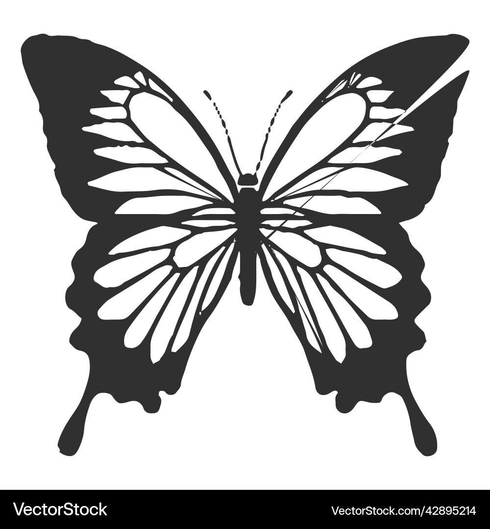 Papilio ulysses butterfly silhouette high quality Vector Image