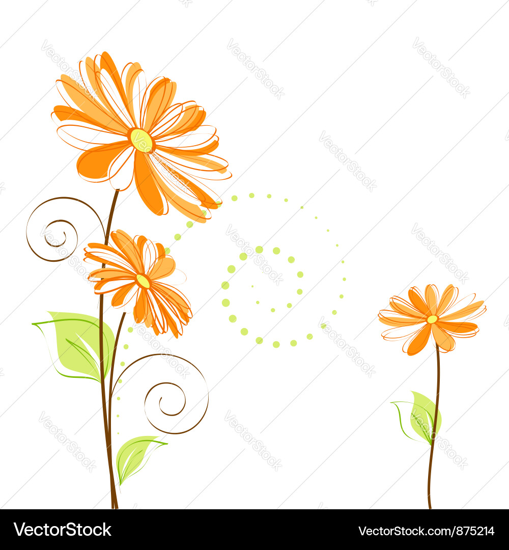 Springtime colorful daisy flower Royalty Free Vector Image