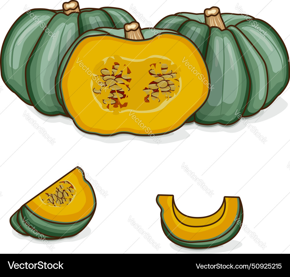 Chopped blue pumpkin clipart Royalty Free Vector Image