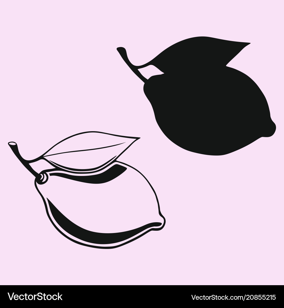 Lemon with leaf Royalty Free Vector Image - VectorStock