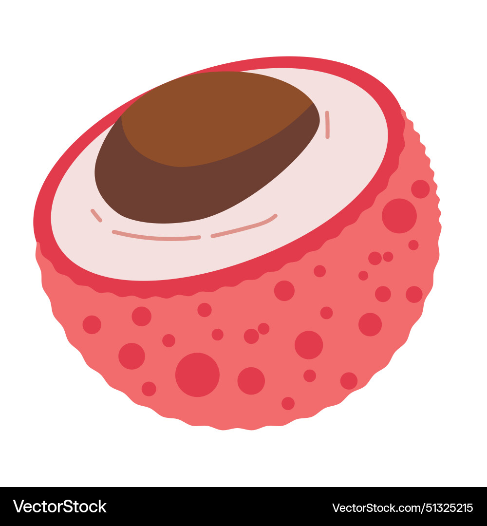 Lychee or litchi fruit lichee Royalty Free Vector Image