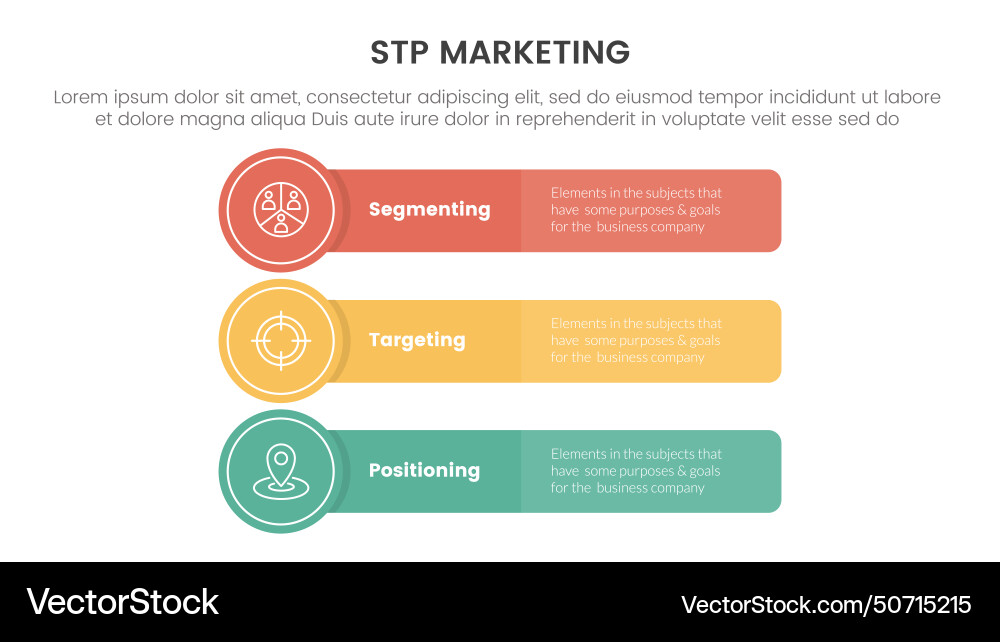 Stp marketing strategy model for segmentation Vector Image