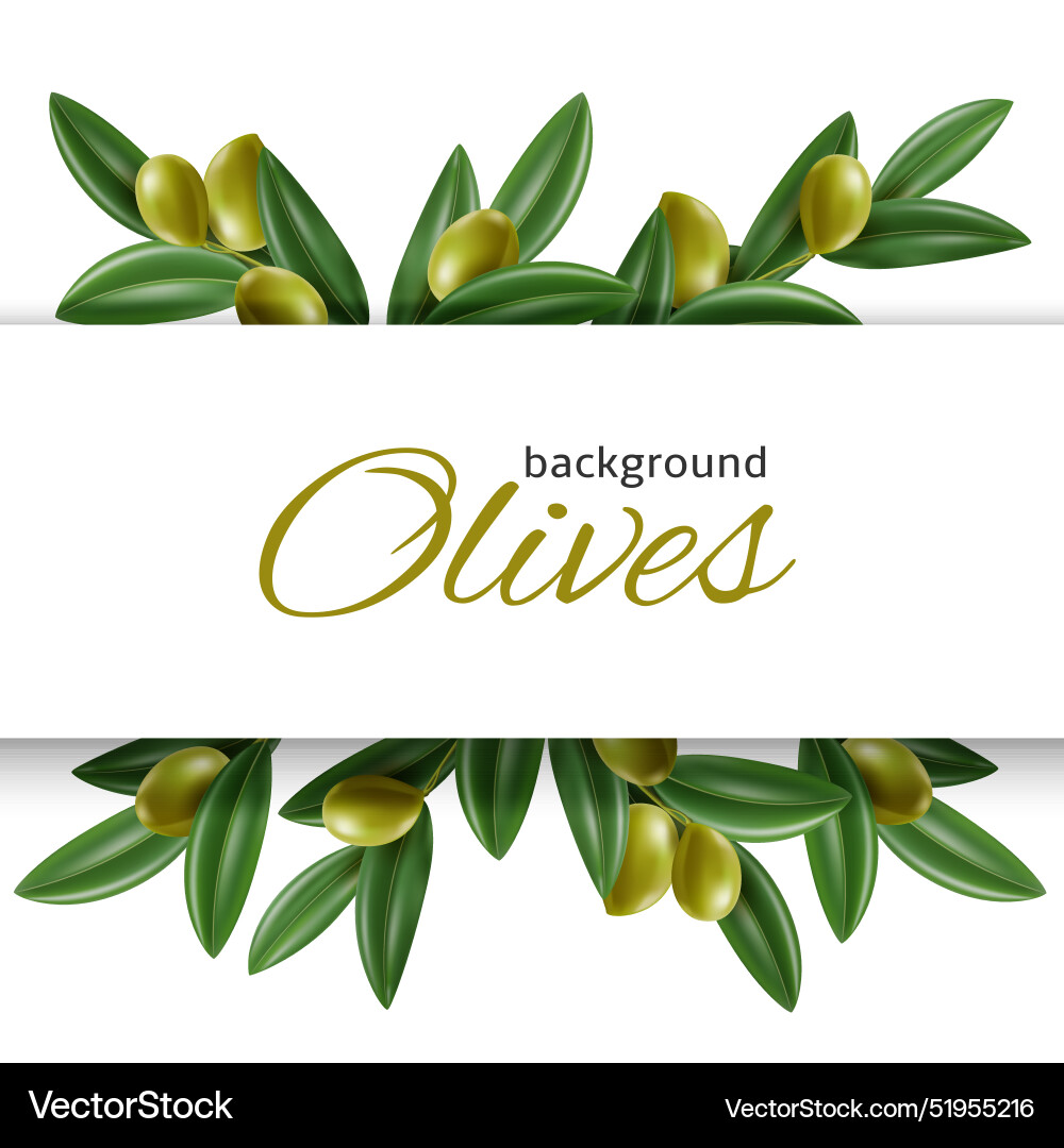 Realistic olive frame green leaves with Royalty Free Vector