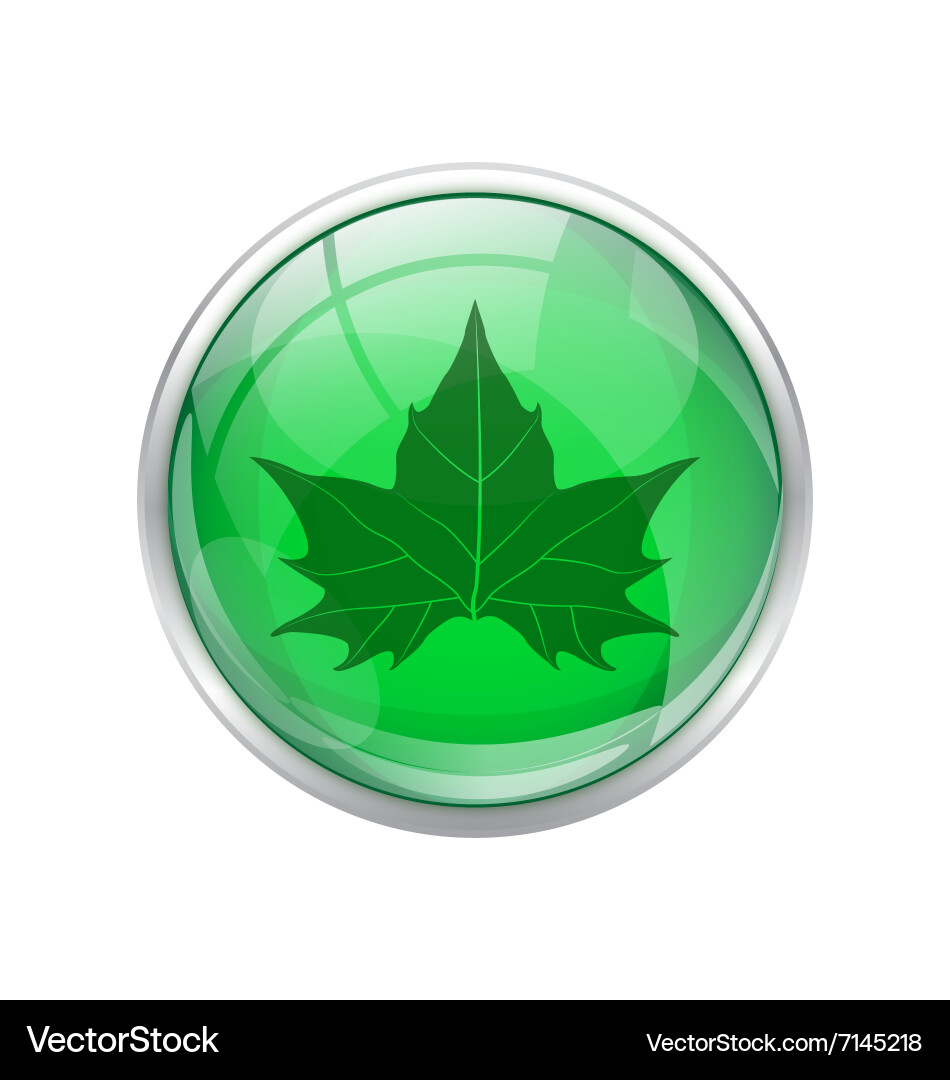 Green leaf button Royalty Free Vector Image - VectorStock