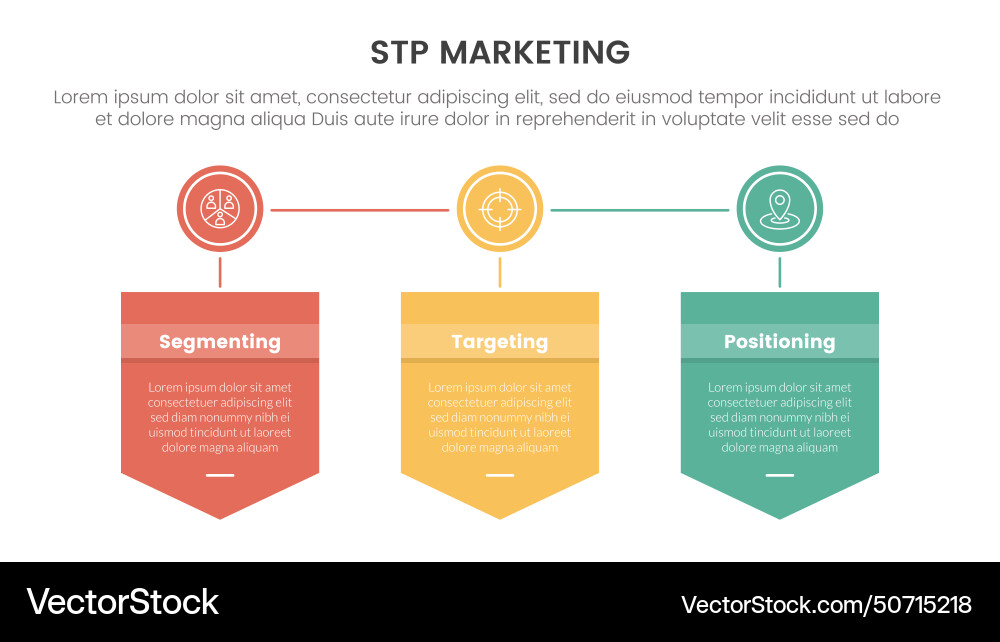 Stp marketing strategy model for segmentation Vector Image