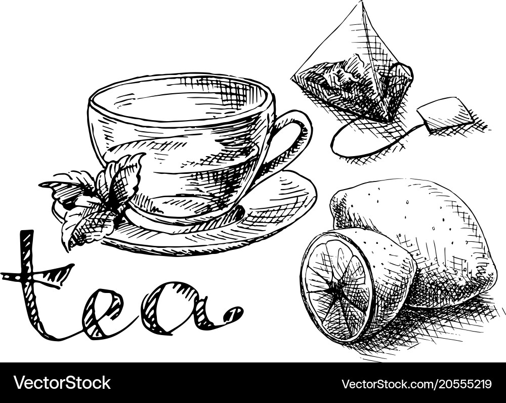 Cup mint and tea bag Royalty Free Vector Image