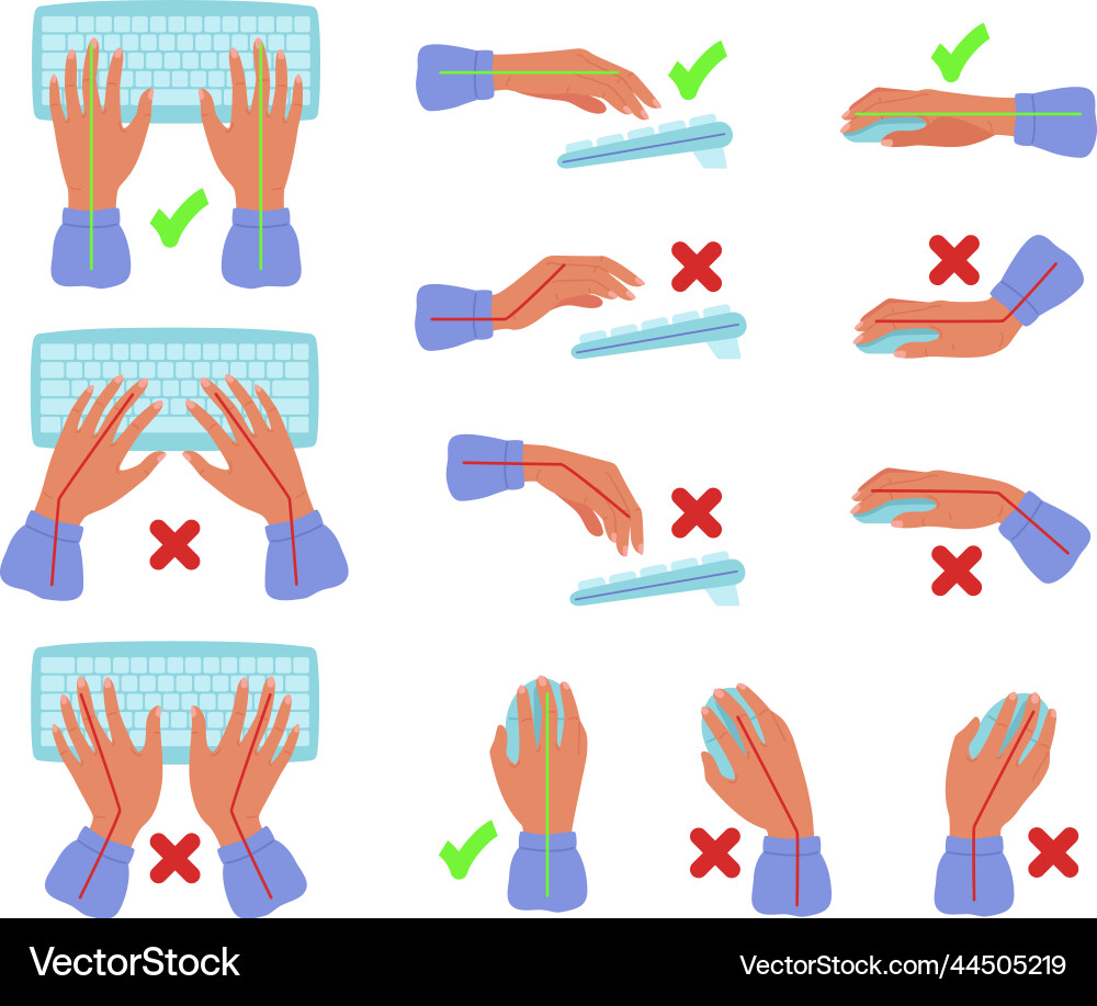 Keyboard and mouse hands posture correct Vector Image Keyboard and mouse hands posture correct Vector Image