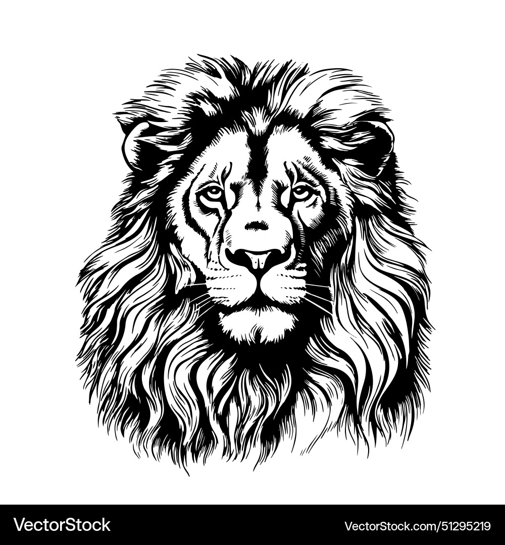 Lion portrait lion head Royalty Free Vector Image