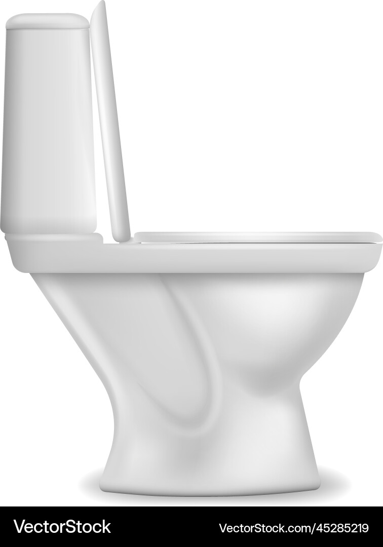 Realistic toilet bowl bathroom or wc object Vector Image