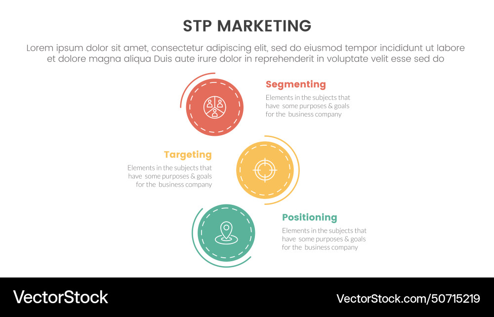 Stp marketing strategy model for segmentation Vector Image