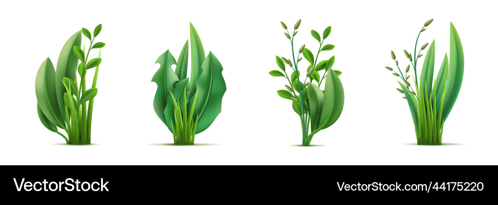 Realistic green grass bouquets fresh greenery Vector Image