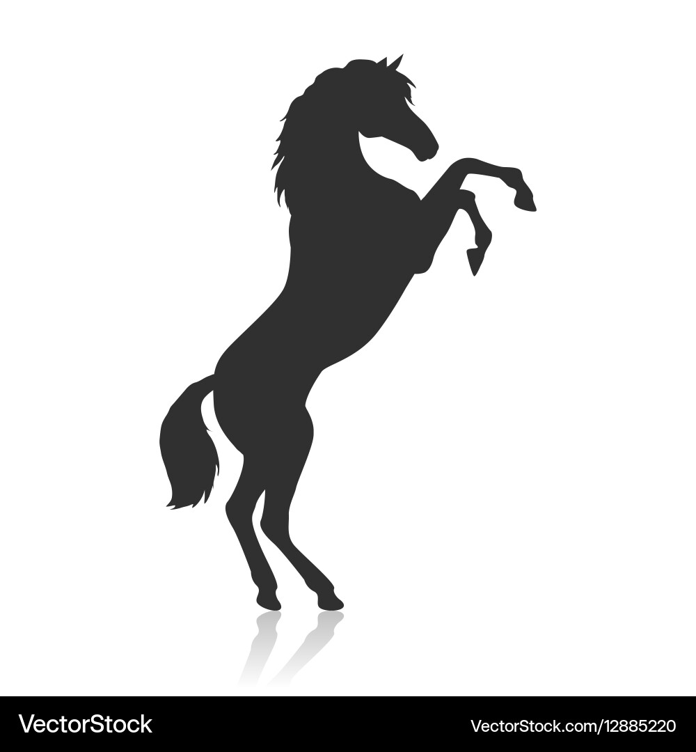 Rearing pinto horse in flat design Royalty Free Vector Image