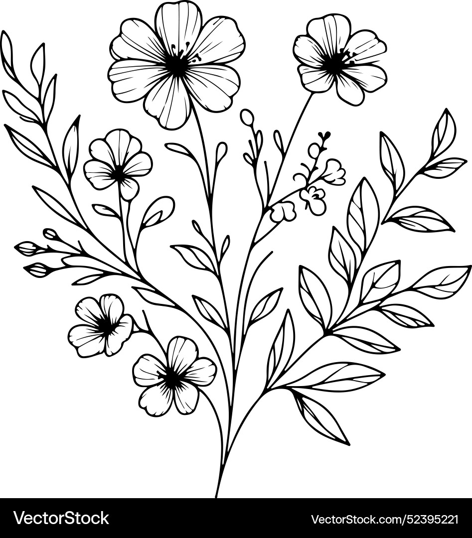 Flower line art Royalty Free Vector Image - VectorStock
