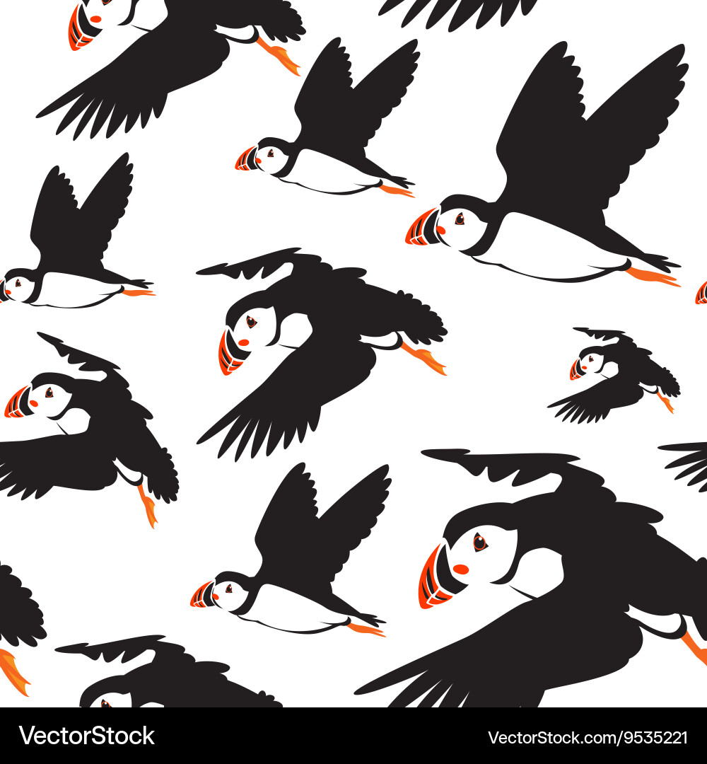 Puffin Bird Pattern Royalty Free Vector Image - VectorStock
