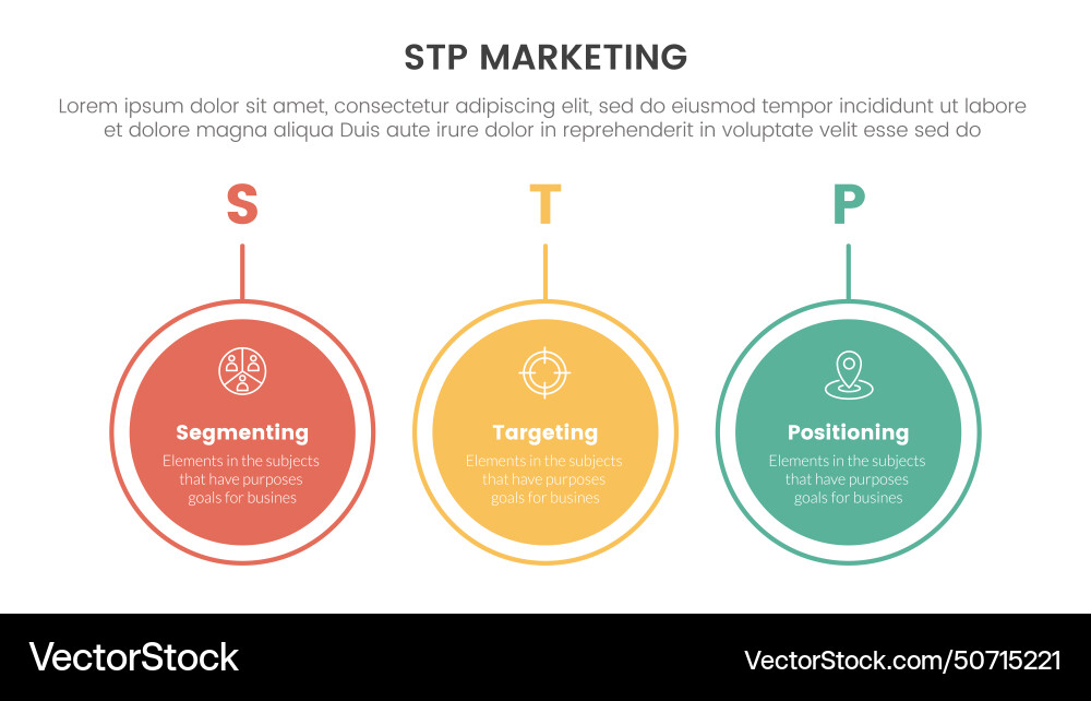 Stp marketing strategy model for segmentation Vector Image