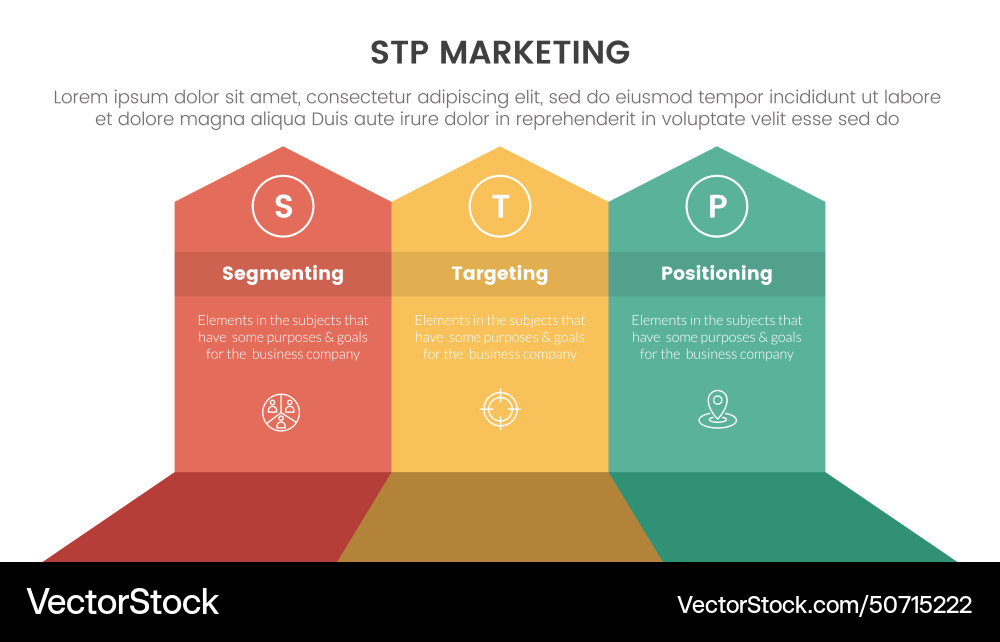 Stp marketing strategy model for segmentation Vector Image