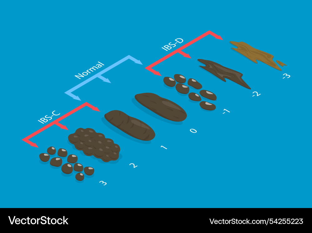 3d isometric flat of ibs Royalty Free Vector Image