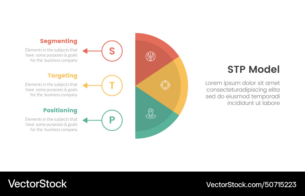 Stp marketing strategy model for segmentation Vector Image