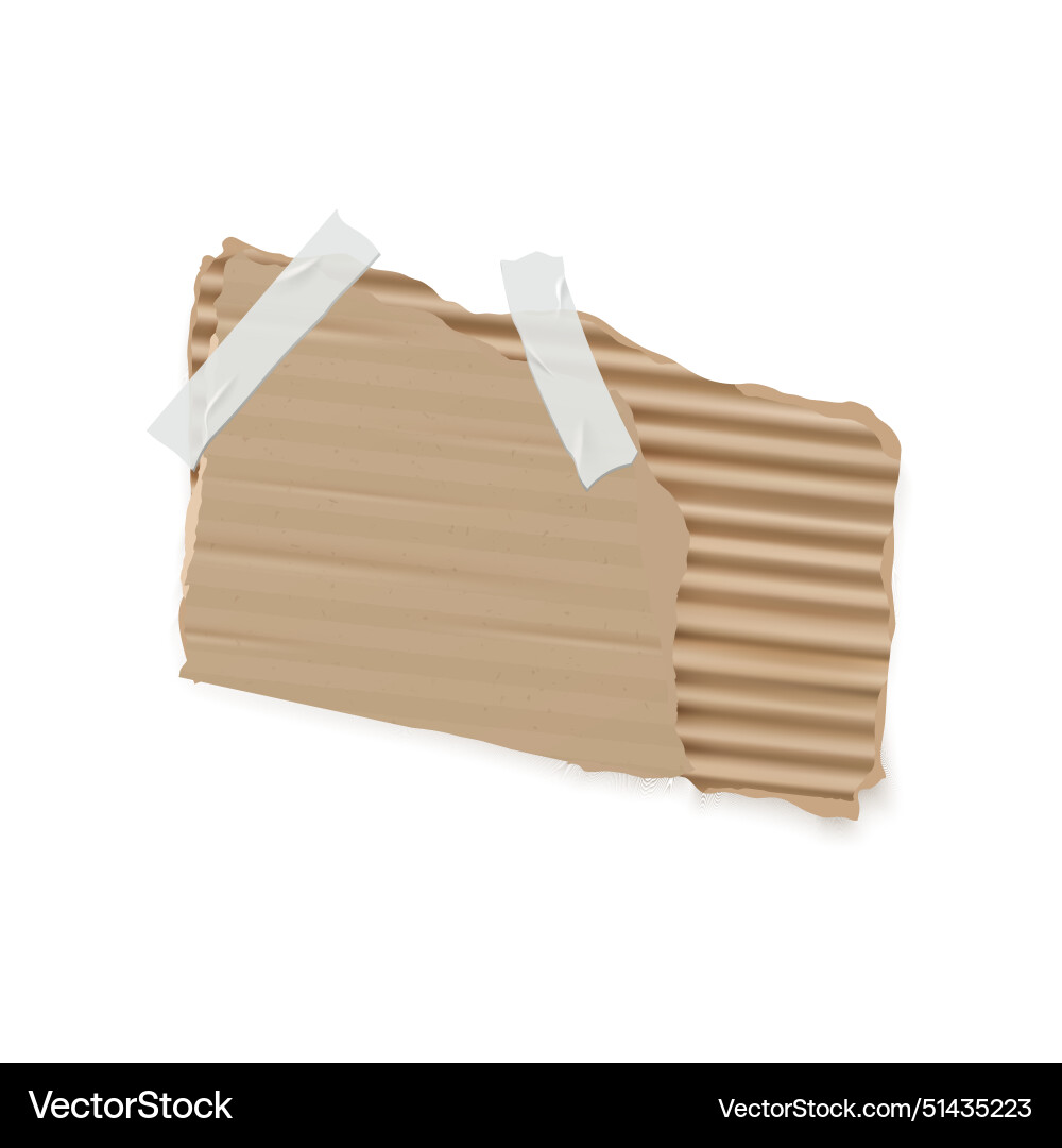 Torn cardboard with tape Royalty Free Vector Image