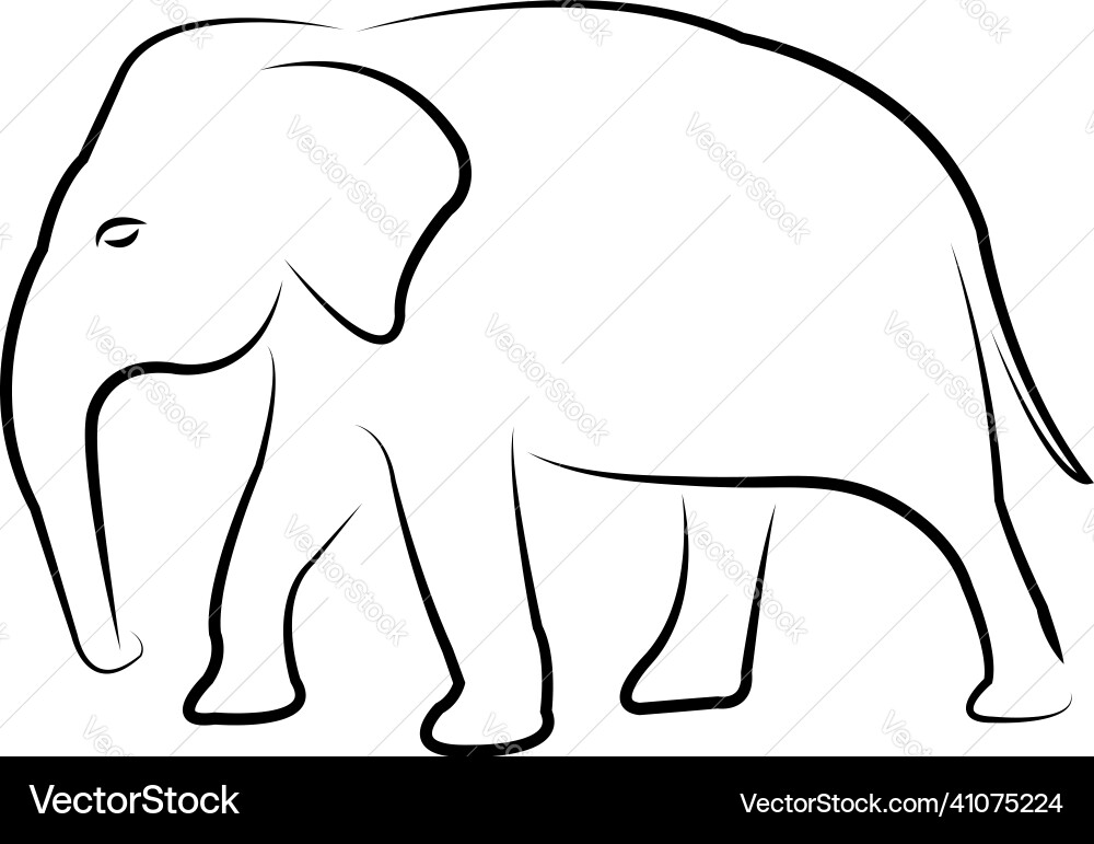 Elephant line art - artwork Royalty Free Vector Image