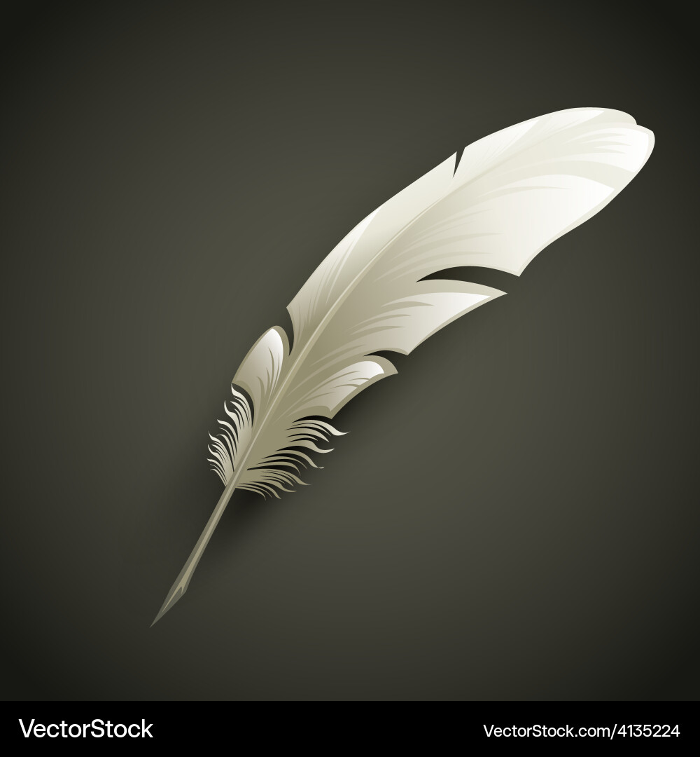 Feather Royalty Free Vector Image - VectorStock