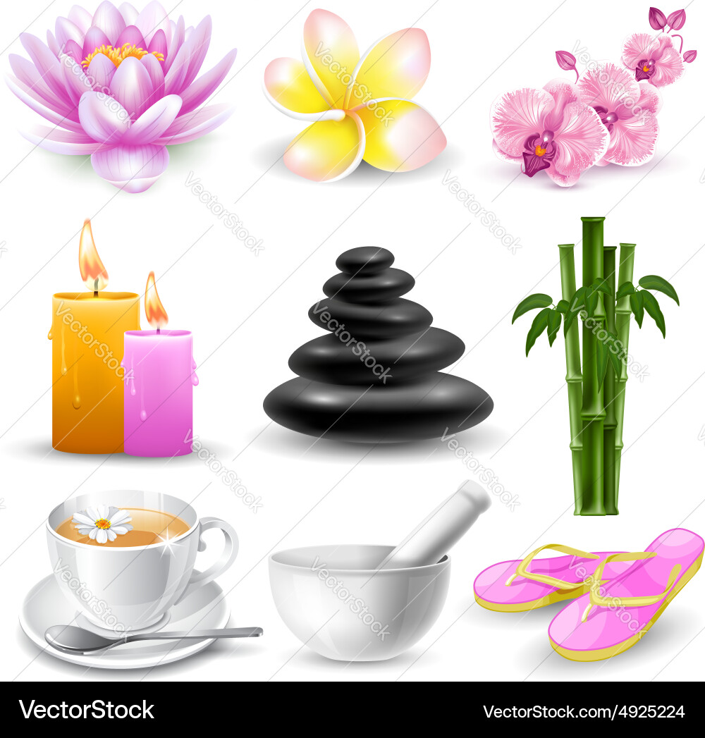 Spa objects set Royalty Free Vector Image - VectorStock